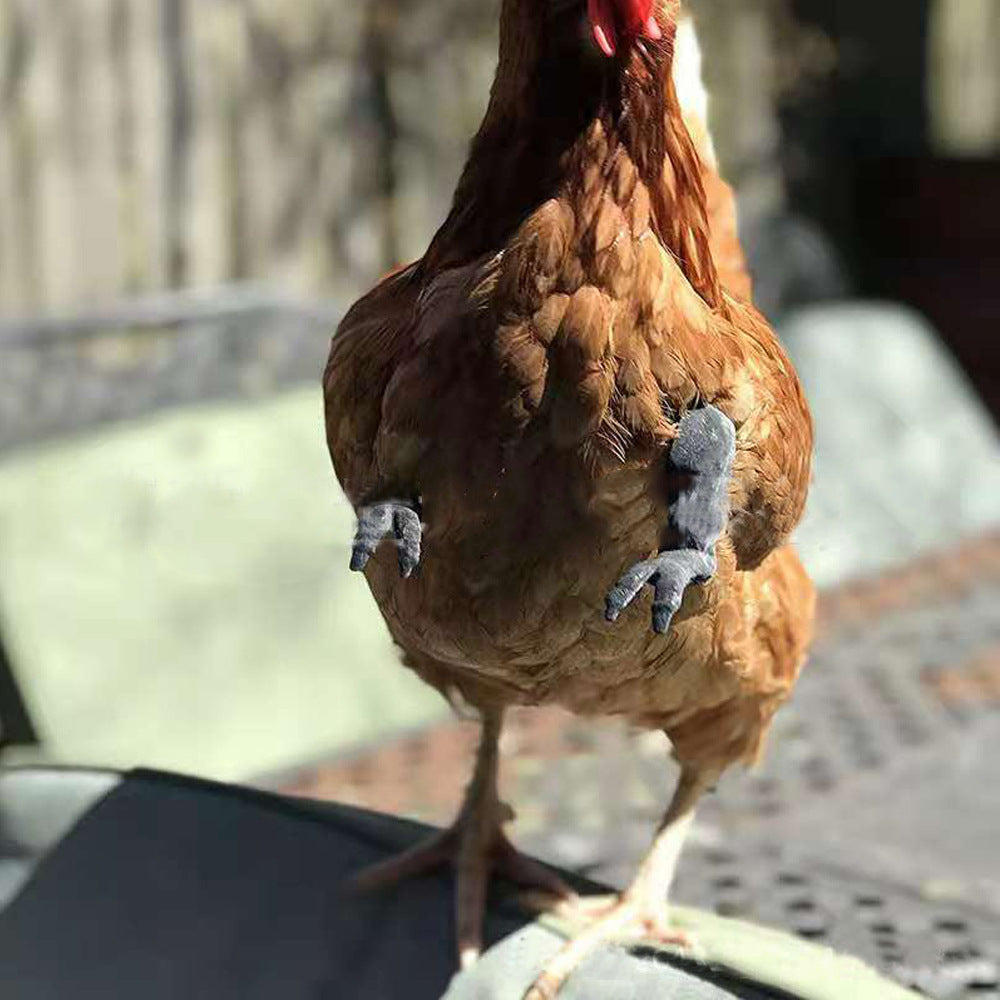 Chicken Arm Props – WELLCUBE