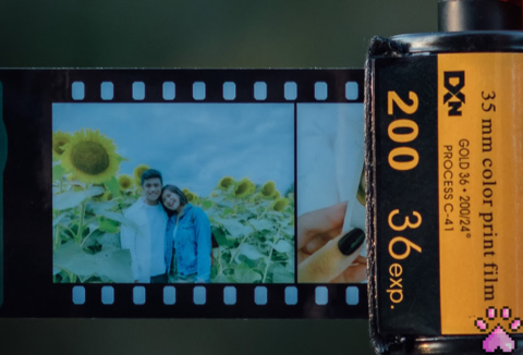 Personal Film Roll – WELLCUBE