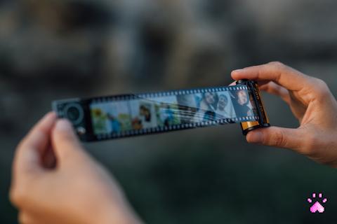 Personal Film Roll – WELLCUBE